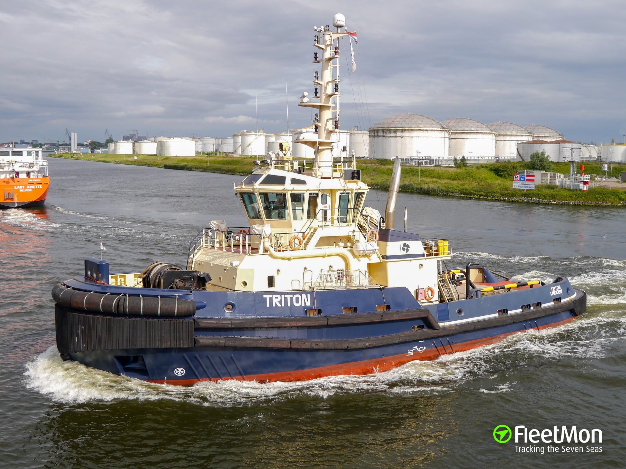 Solve triton jigsaw puzzle online with 594 pieces