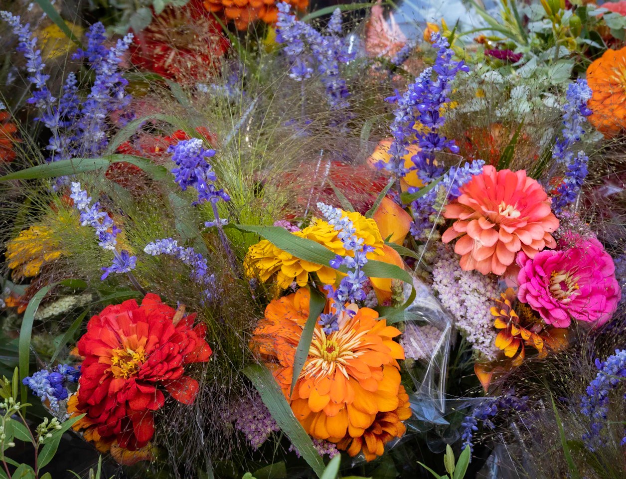 Jigsaw Puzzle | 108 pieces | Colourful flowers & grasses | Jigidi