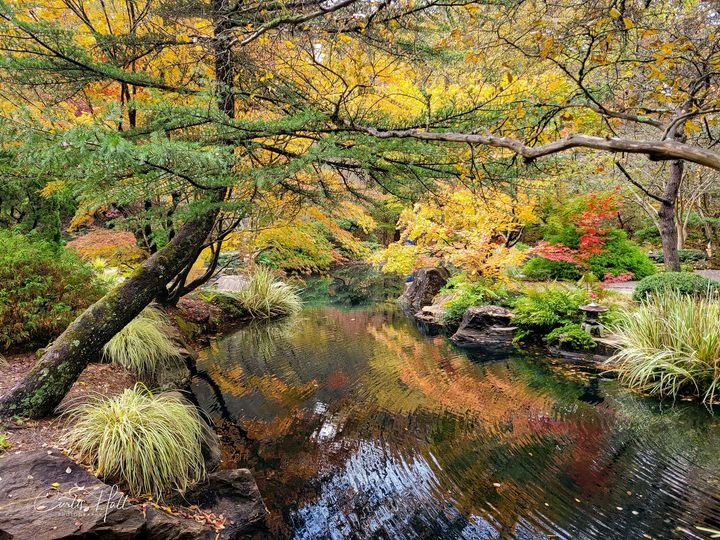 Solve One Drop Ripple Effect jigsaw puzzle online with 108 pieces