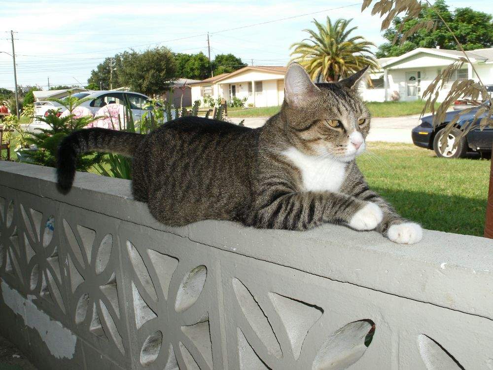 Solve Gary, just being Gary - 2010 jigsaw puzzle online with 30 pieces