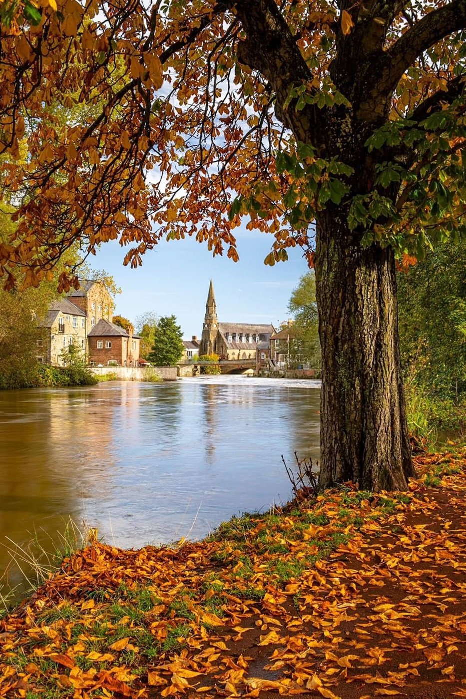 Solve Autumn in Morpeth UK jigsaw puzzle online with 77 pieces