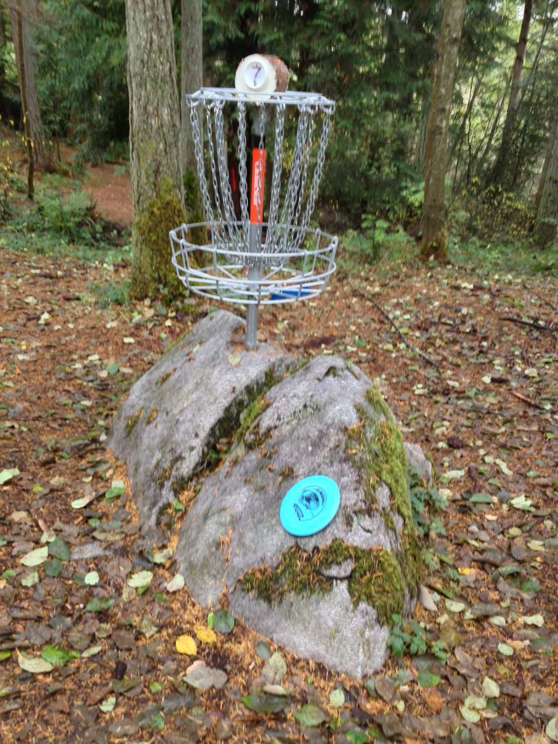 Solve Disc Golf Basket and Driver jigsaw puzzle online with 80 pieces