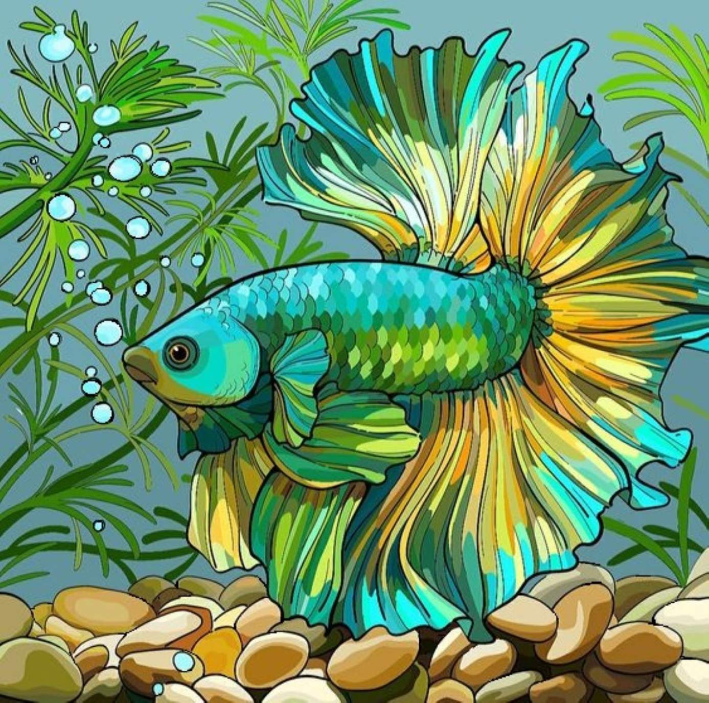 Solve Betta Fish jigsaw puzzle online with 121 pieces