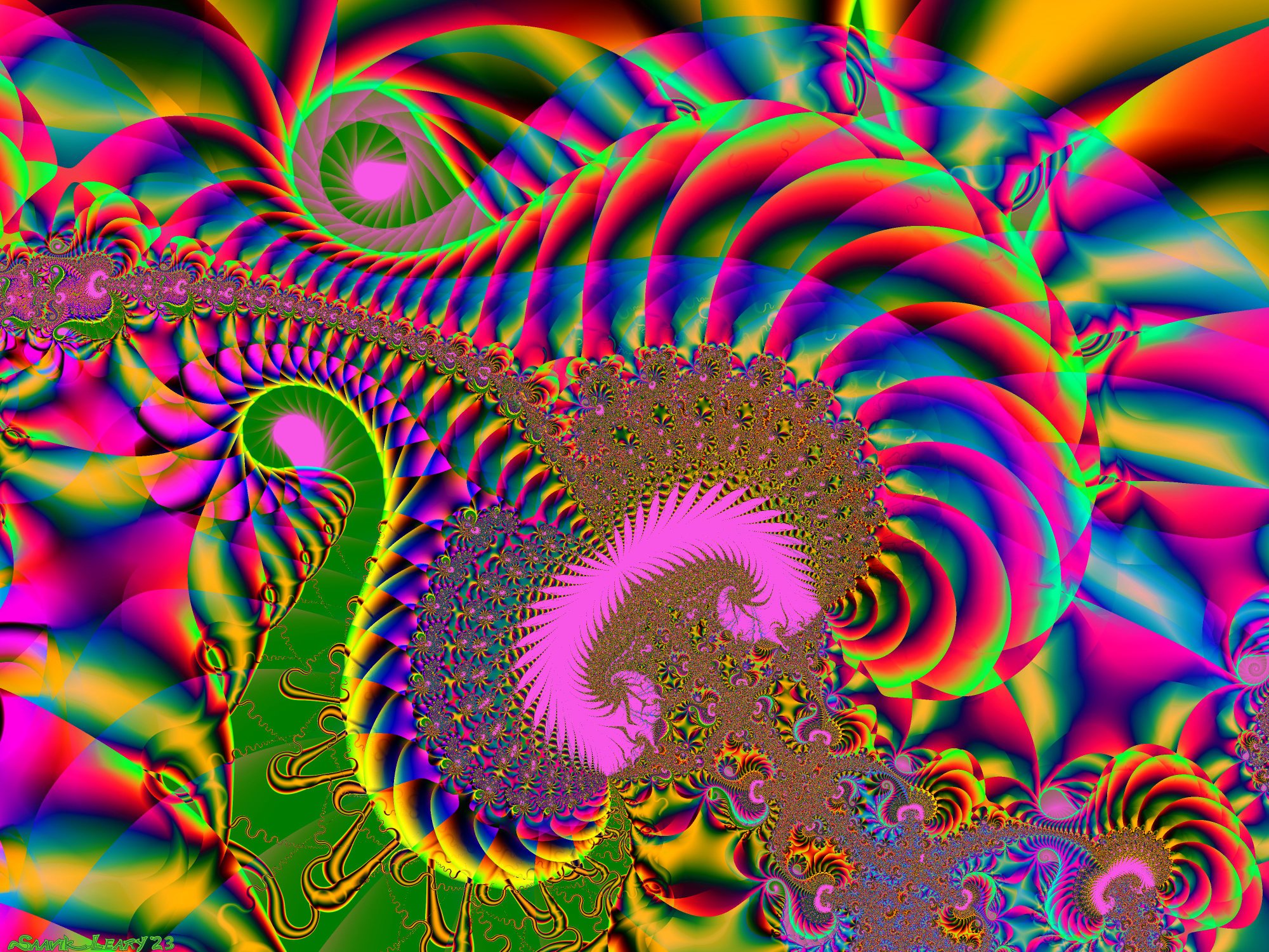 Solve 10192023 Vchira Curly medium-large jigsaw puzzle online with 221 ...