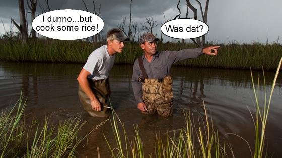 Solve 1st You Cook the Rice! jigsaw puzzle online with 15 pieces