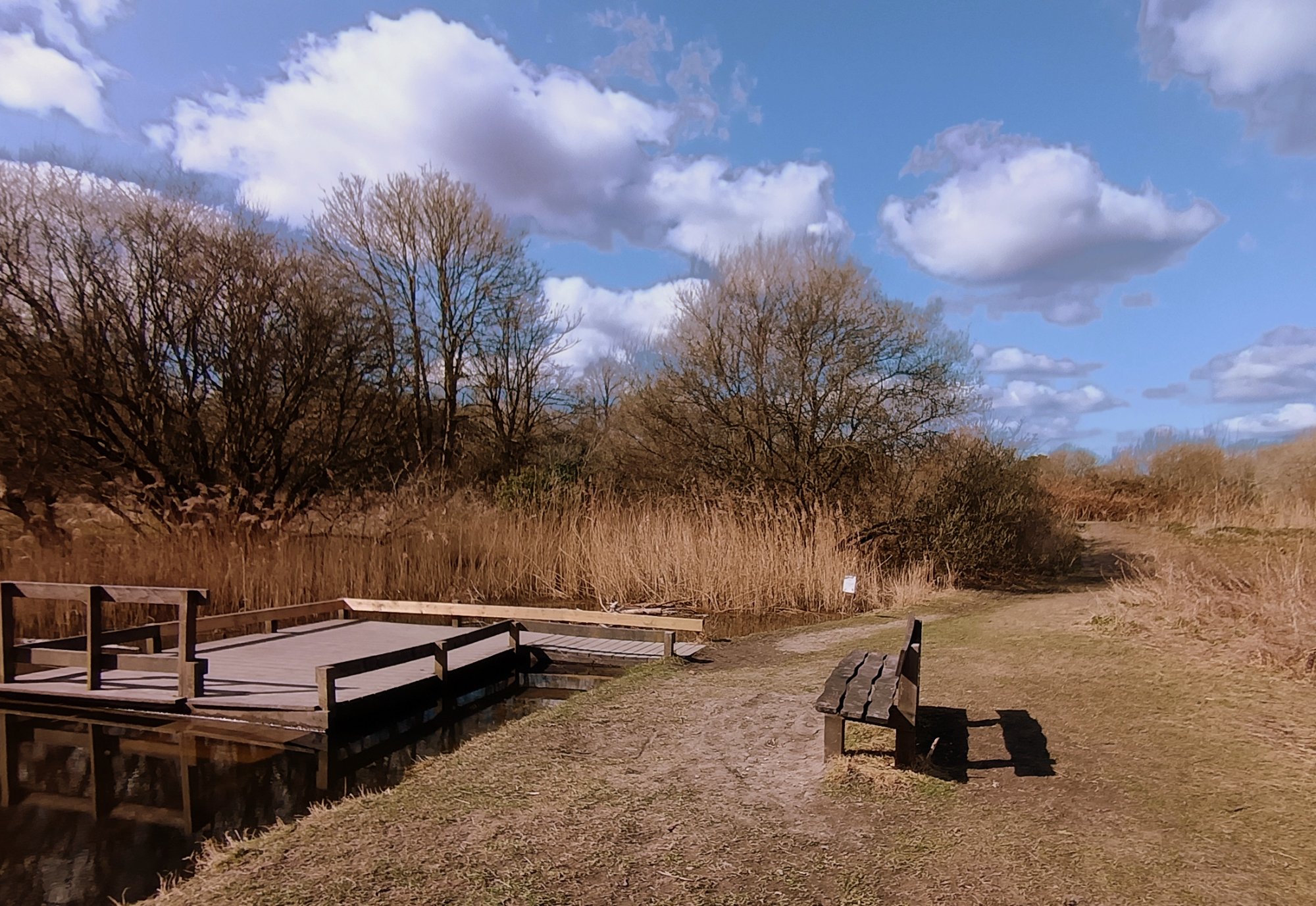 Jigsaw Puzzle | 117 pieces | Dipping pond in Lewes Railway Land Local ...