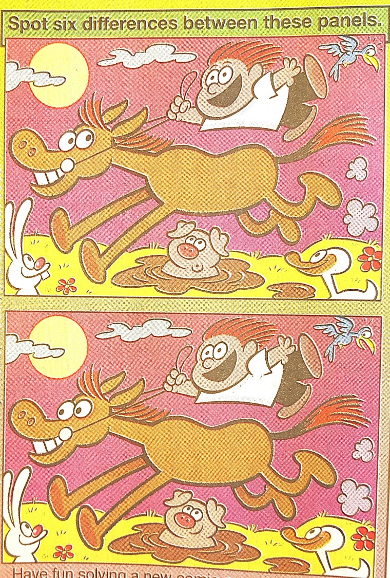 Solve Spot the 6 Differences jigsaw puzzle online with 12 pieces