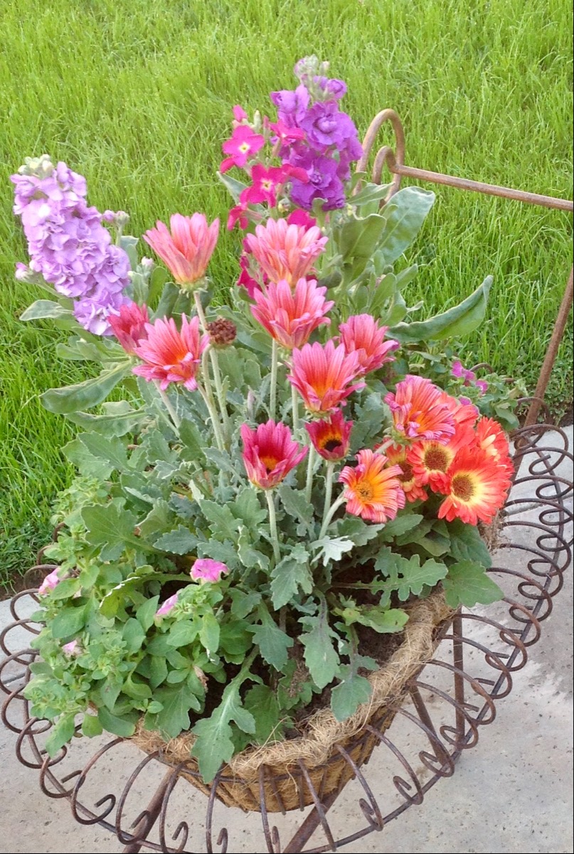 Jigsaw Puzzle | Spring | 260 pieces | Jigidi