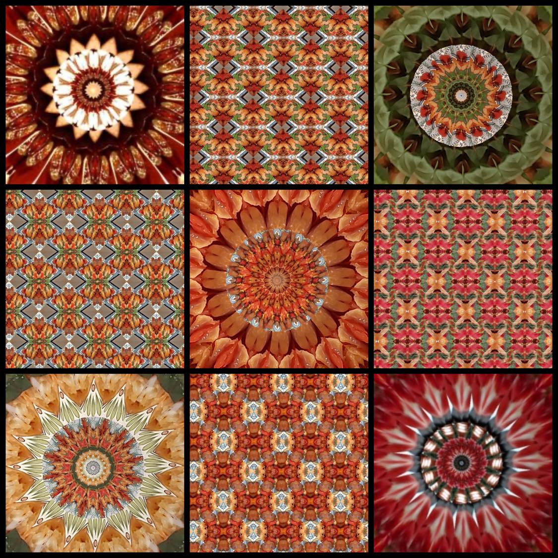 Solve Theme: Fall Colors: Smallest jigsaw puzzle online with 36 pieces