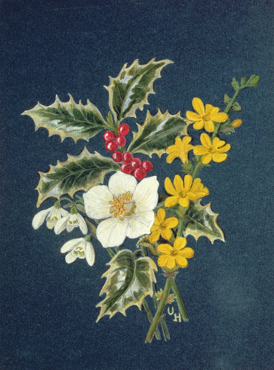 Solve Ursula Hodgson - Holly, Christmas Rose, Snowdrop and Winter ...