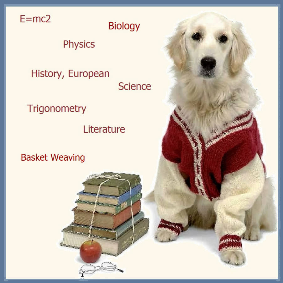 Solve The Preppy Dog jigsaw puzzle online with 81 pieces