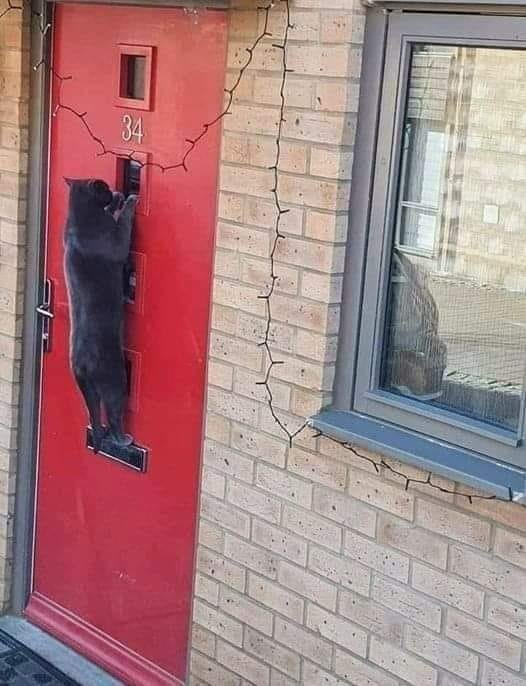 Solve 02/29/24: Please, honey! Give me one more chance! jigsaw puzzle ...