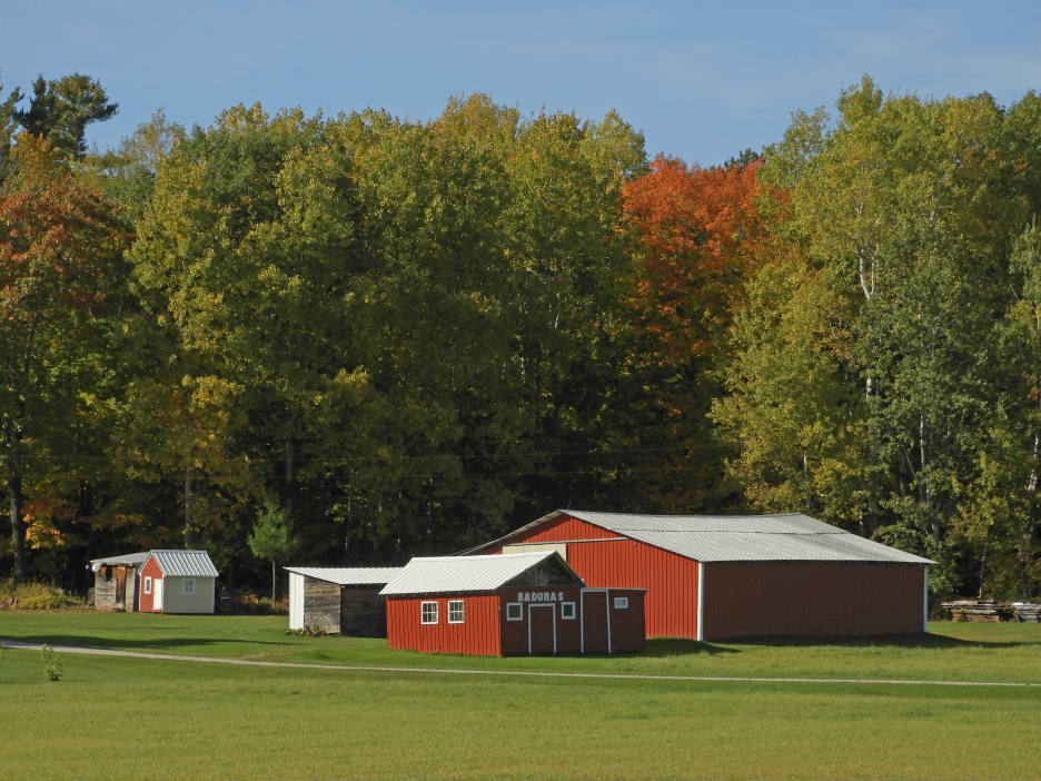 Solve Red outbuildings jigsaw puzzle online with 20 pieces