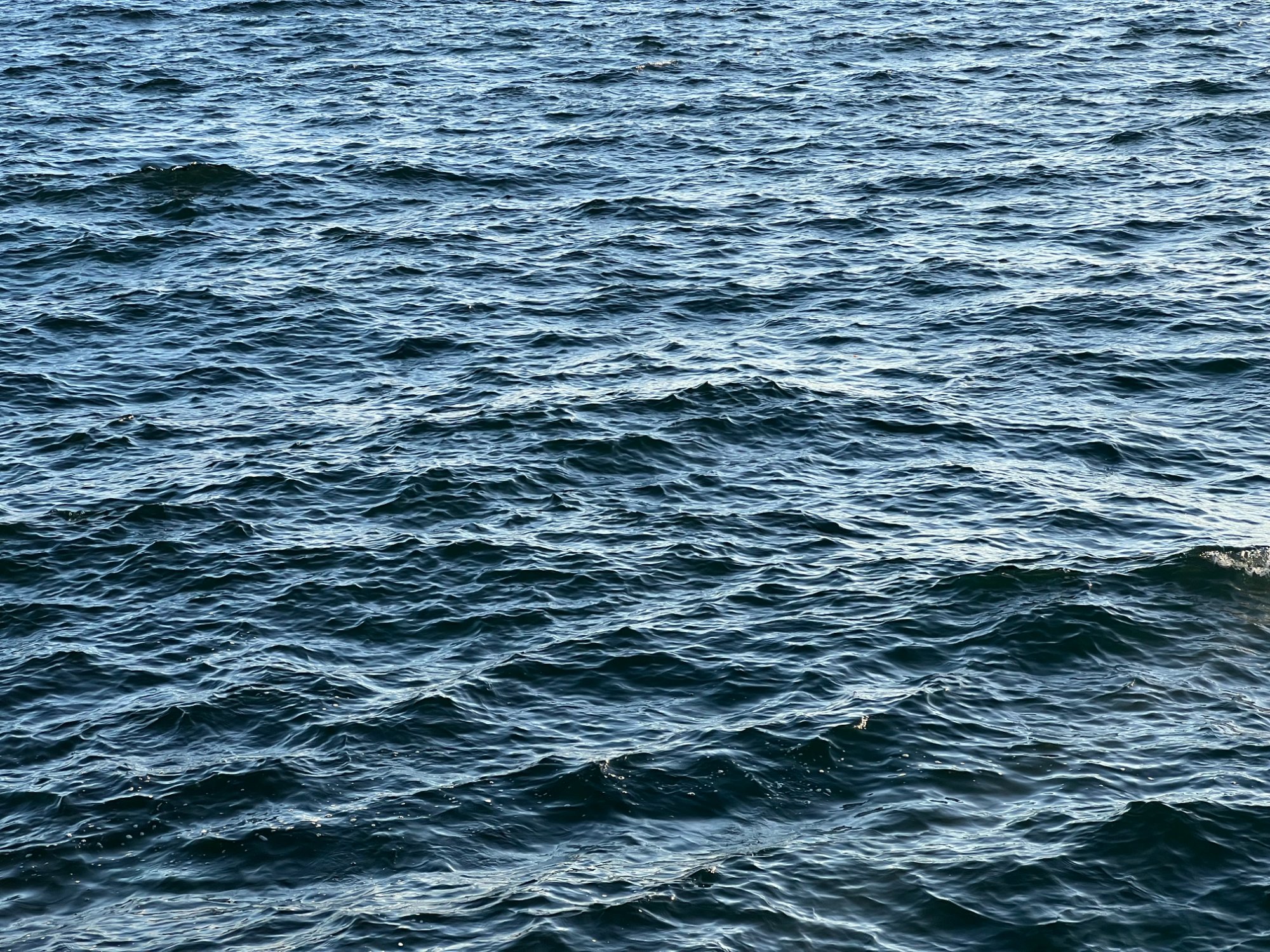 Solve rough water jigsaw puzzle online with 99 pieces