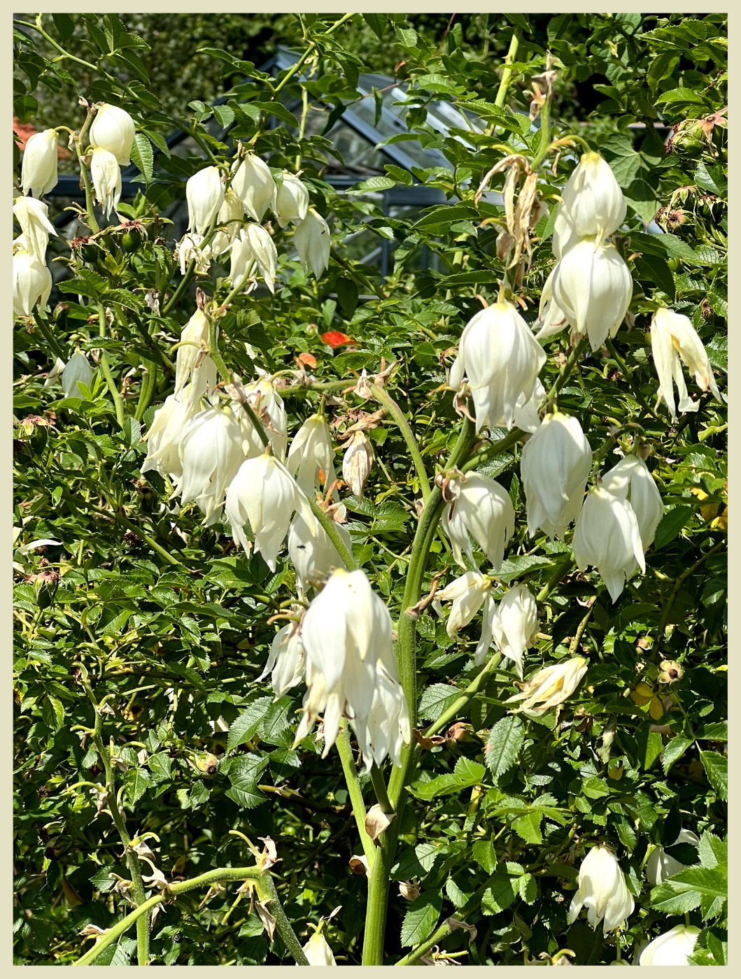 Solve Beautiful nature. jigsaw puzzle online with 35 pieces