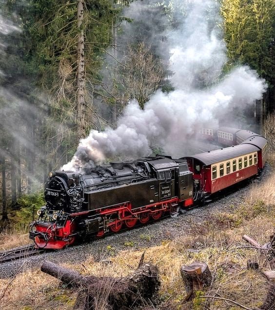 Solve Sometimes you have to get on the wrong train to get on the right ...