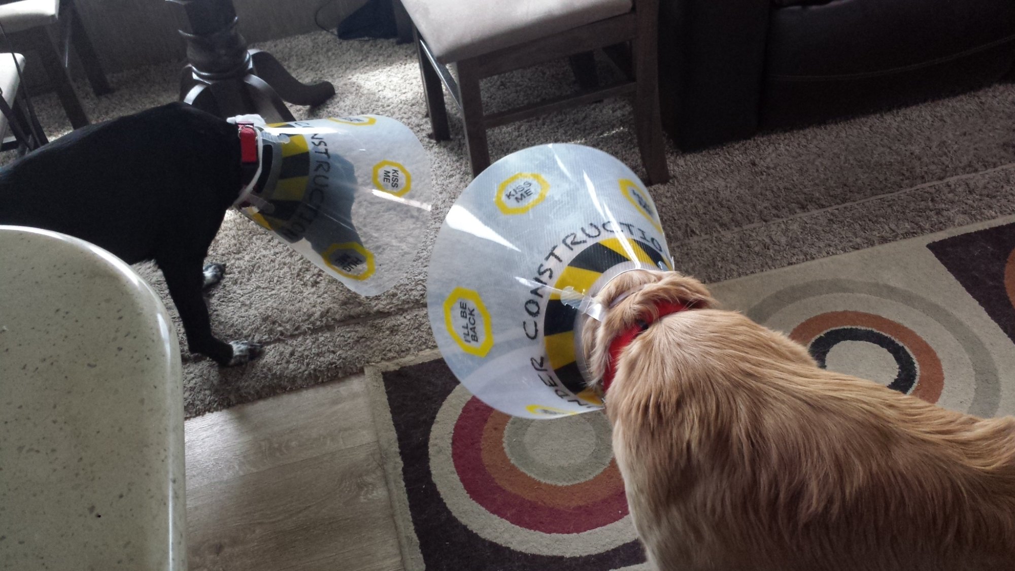 Jigsaw Puzzle | 180 pieces | A visit to the vet | Jigidi