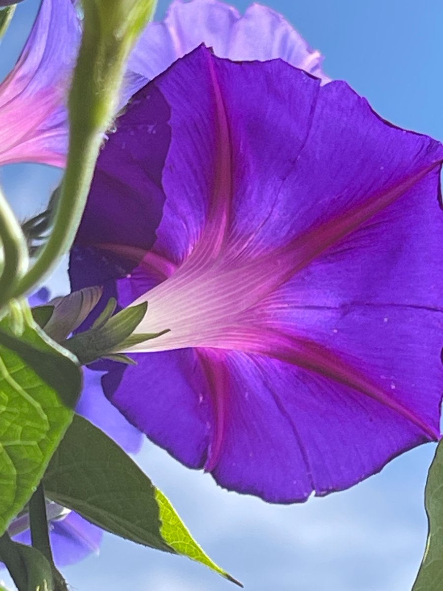 Solve Beautiful Perspective jigsaw puzzle online with 30 pieces