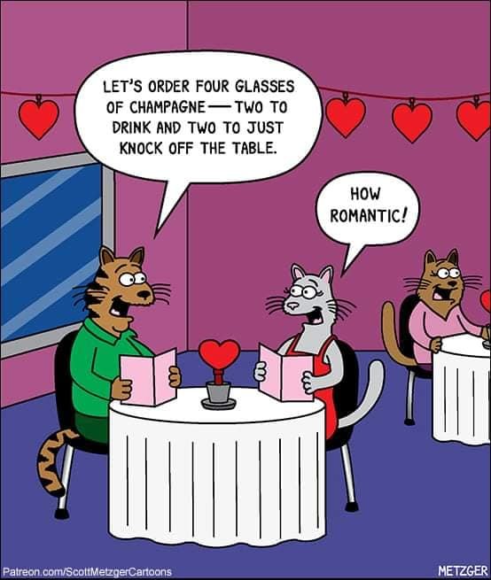 Solve Wobblybear's Fun Stuff (wbfs) - Cat's Valentine's Day ️ meal out ...