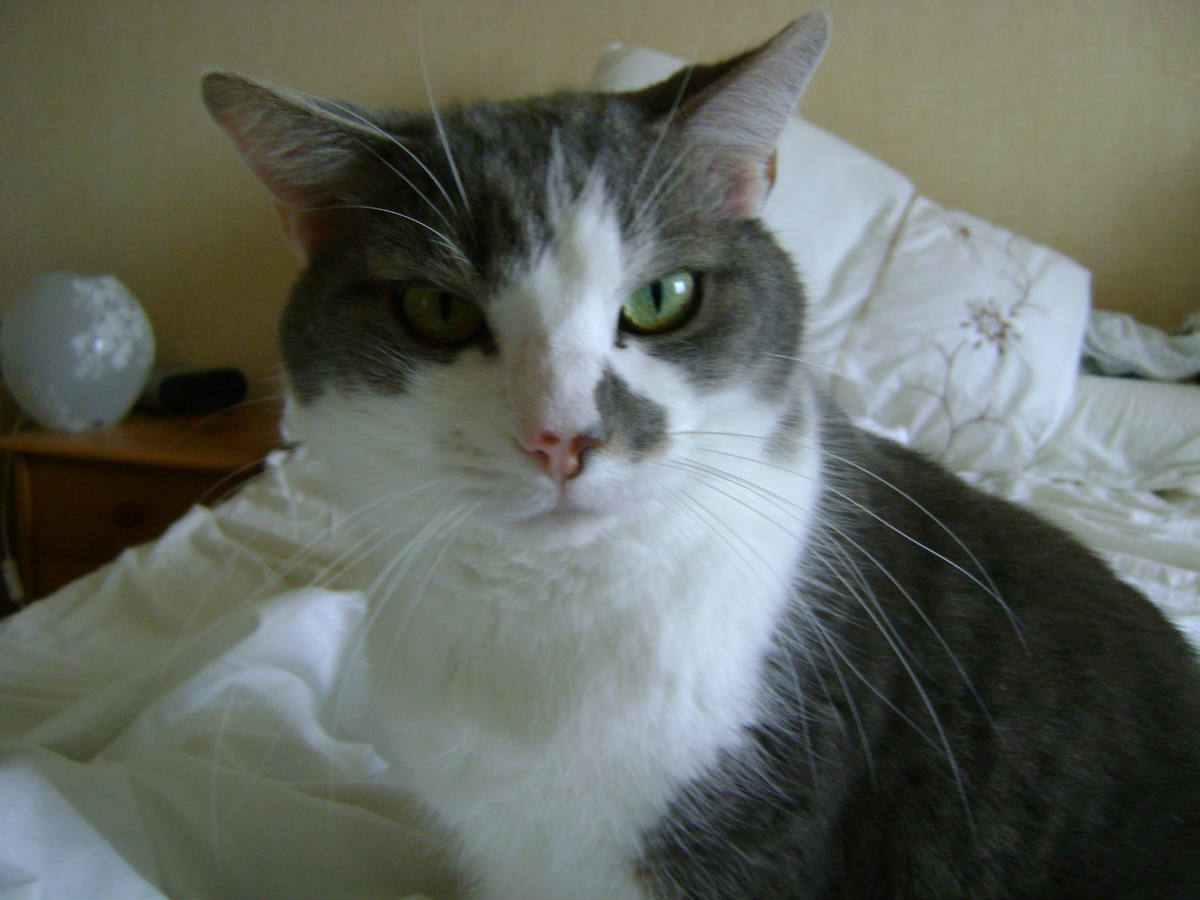 Solve Ash - Did I just hear Freya talking about her weight again? Girls ...