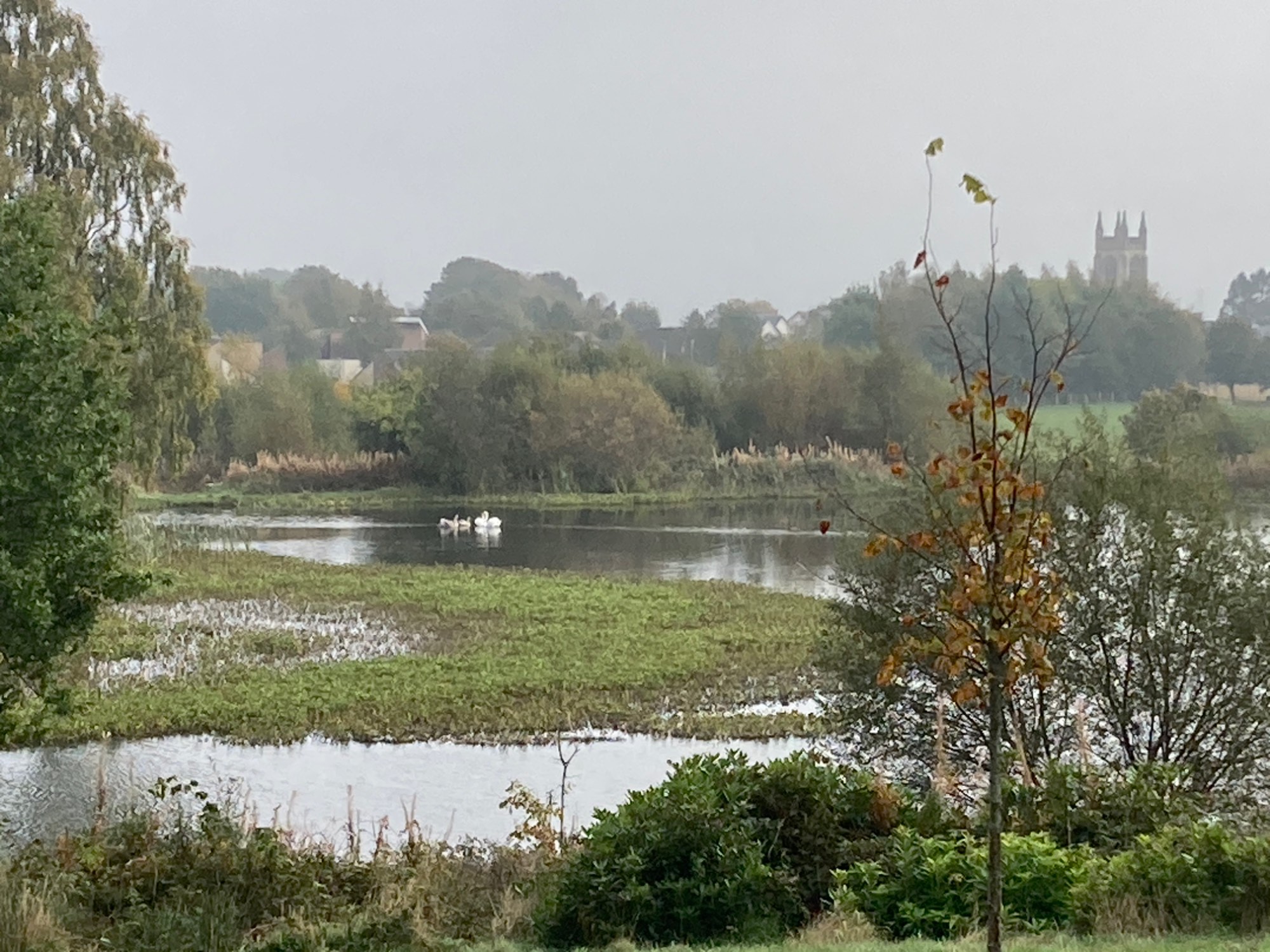 Solve Misty afternoon at Larbert Loch jigsaw puzzle online with 374 pieces