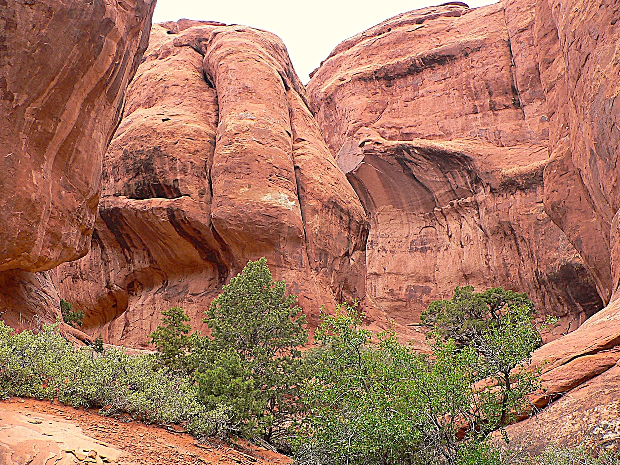 Solve Arches National Park, Utah jigsaw puzzle online with 80 pieces