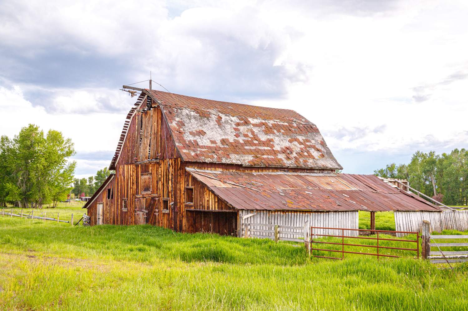 Solve AGING BARN jigsaw puzzle online with 96 pieces