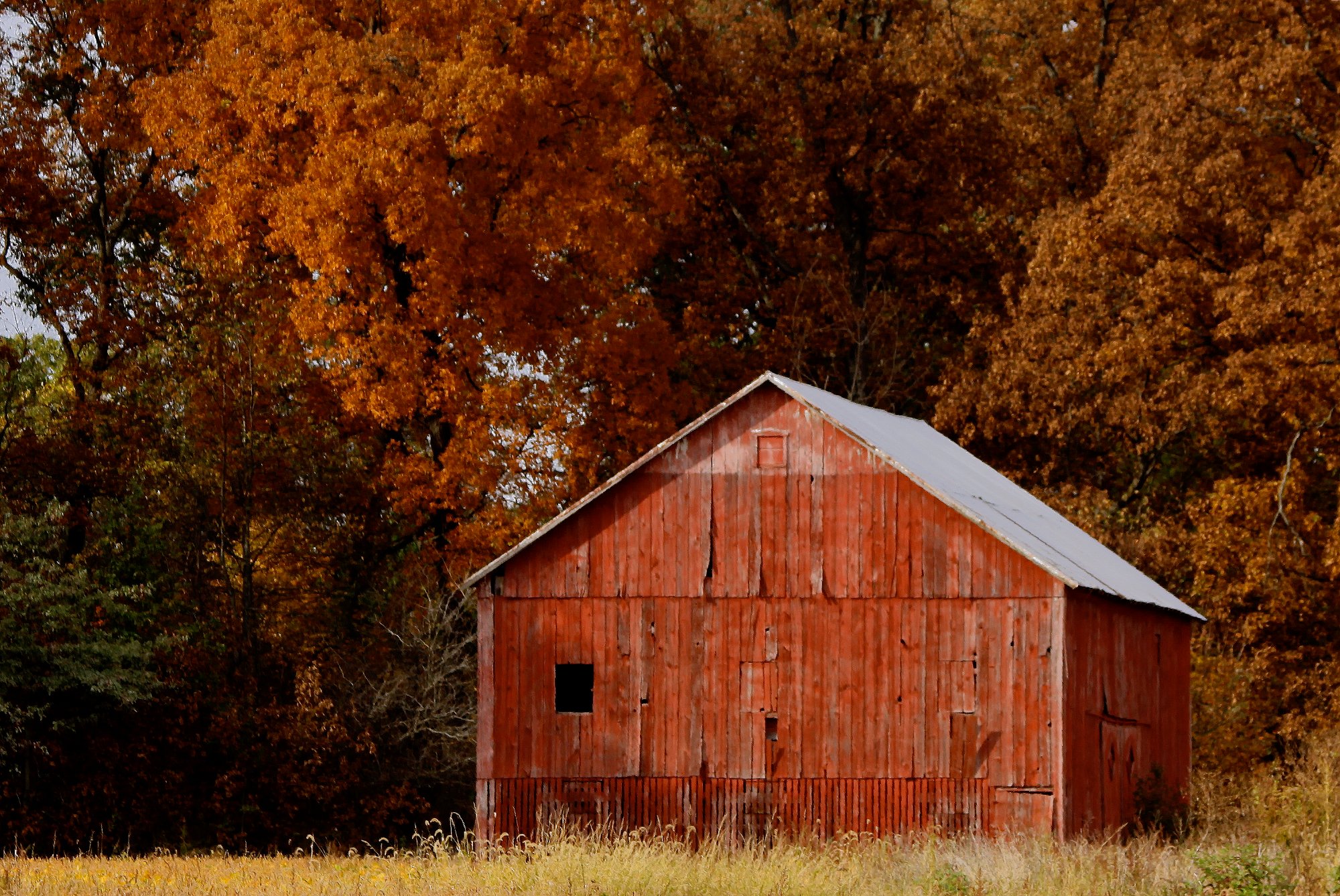 Solve One-eyed Jack jigsaw puzzle online with 77 pieces