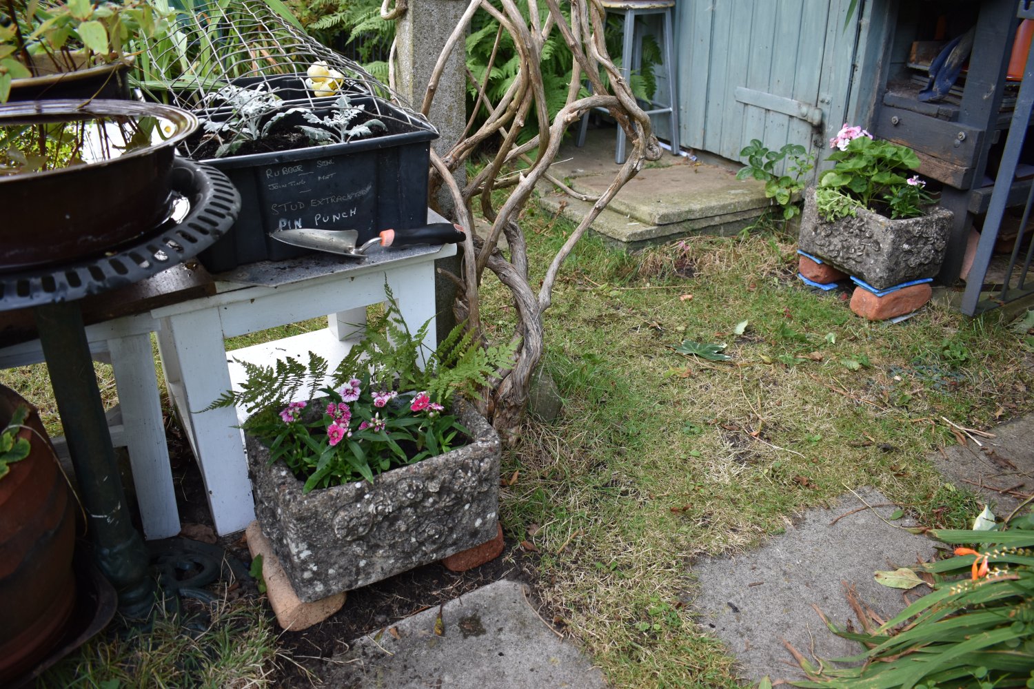 Solve A couple of new additions to the sun parched garden, 2 stone ...