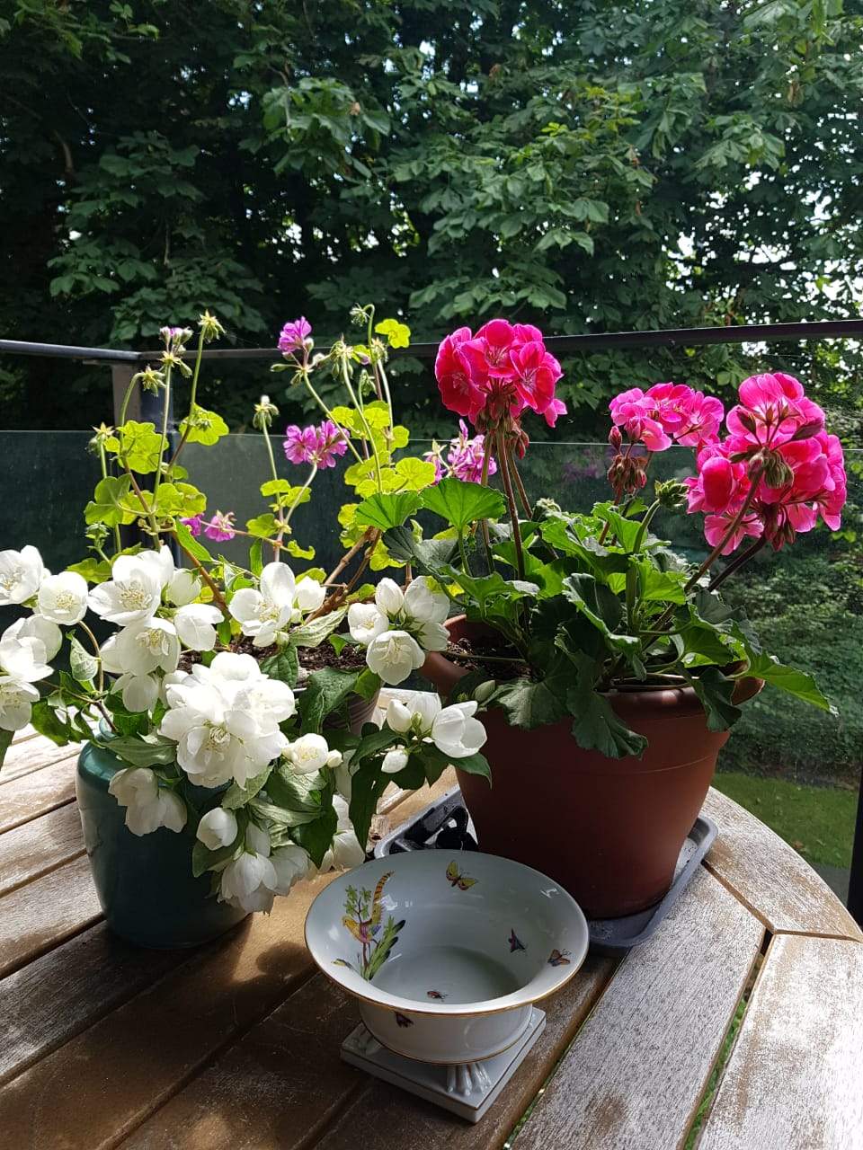 Solve Philadelphus (Mock orange) & Geranium jigsaw puzzle online with ...