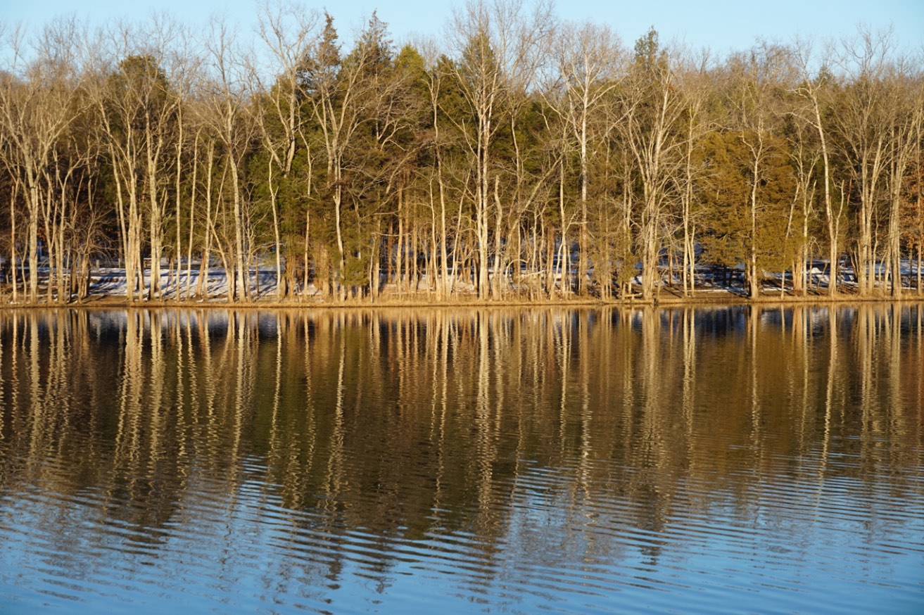 Solve Water reflections in the winter . . jigsaw puzzle online with 24 ...