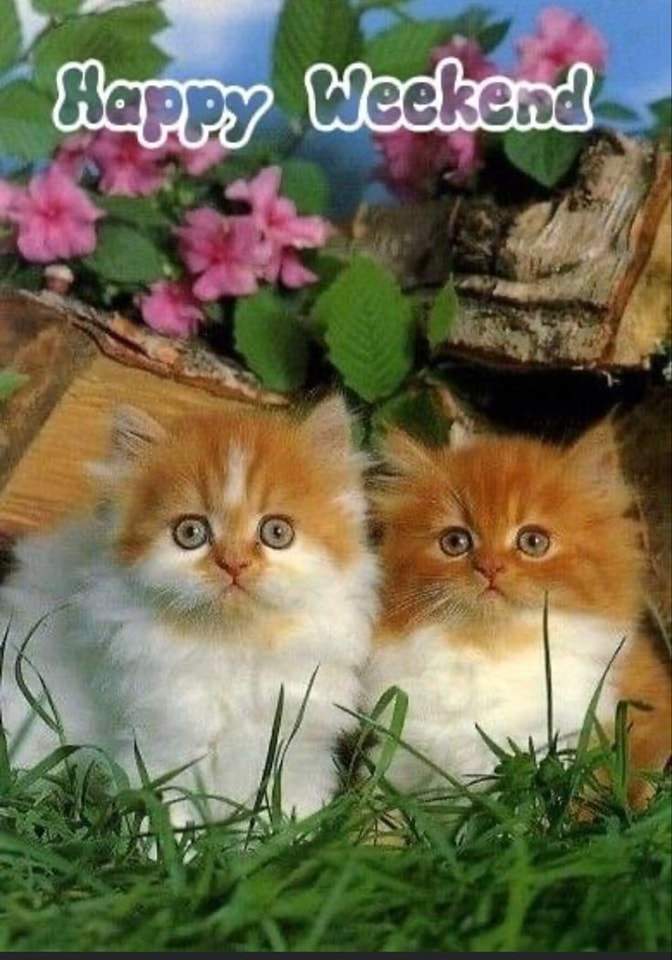 Jigsaw Puzzle | Happy weekend! | 24 pieces | Jigidi