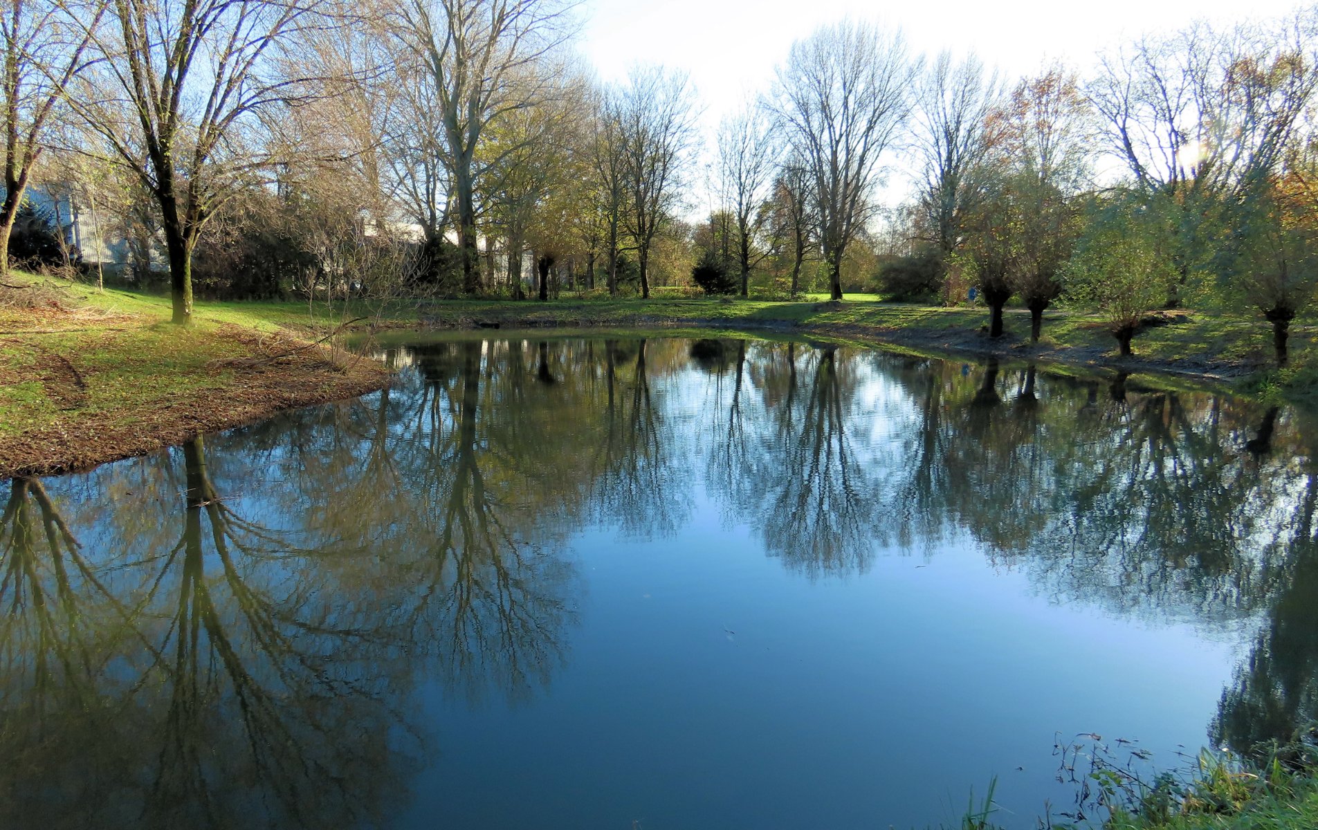 Solve reflections jigsaw puzzle online with 60 pieces