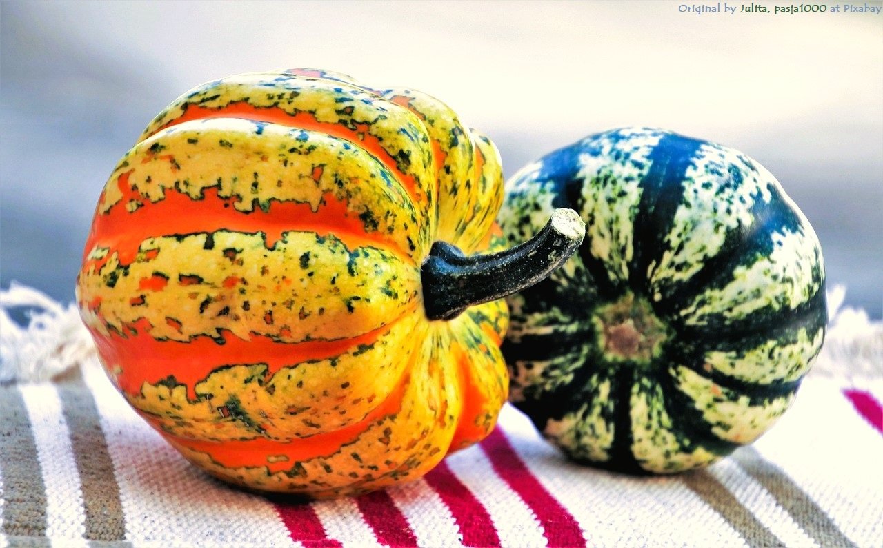 Solve Squash 🍴 jigsaw puzzle online with 54 pieces
