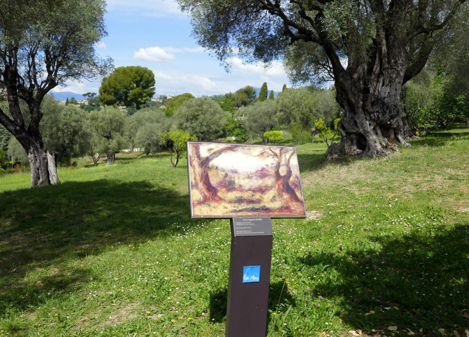 Solve Olive-trees jigsaw puzzle online with 88 pieces