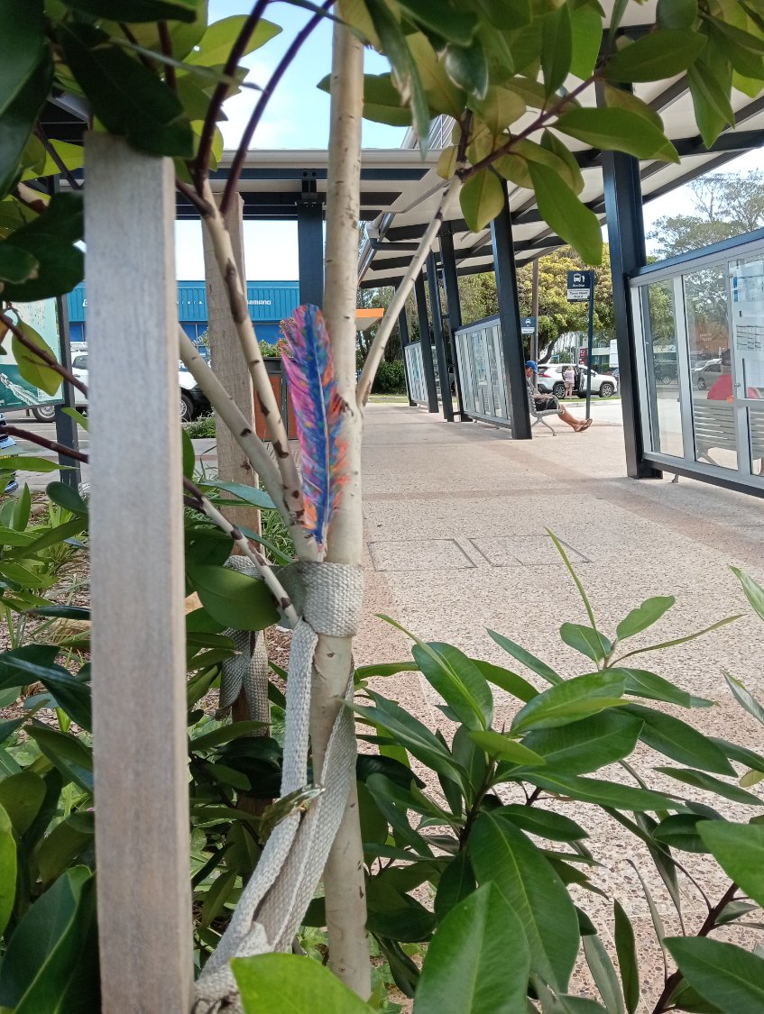 Solve Feather jigsaw puzzle online with 12 pieces