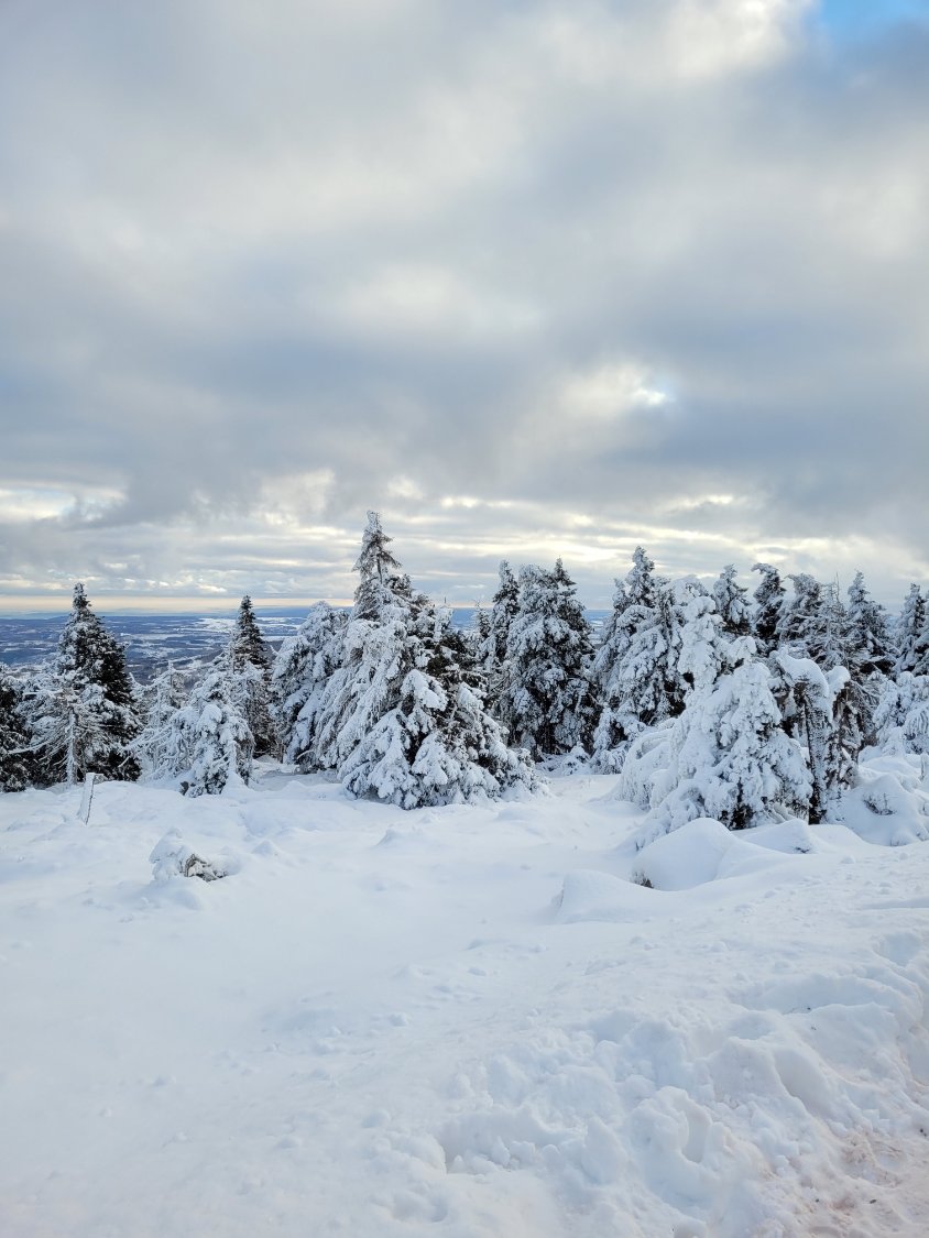 Solve Verschneite Brockenlandschaft im Harz, Sachsen-Anhalt ...
