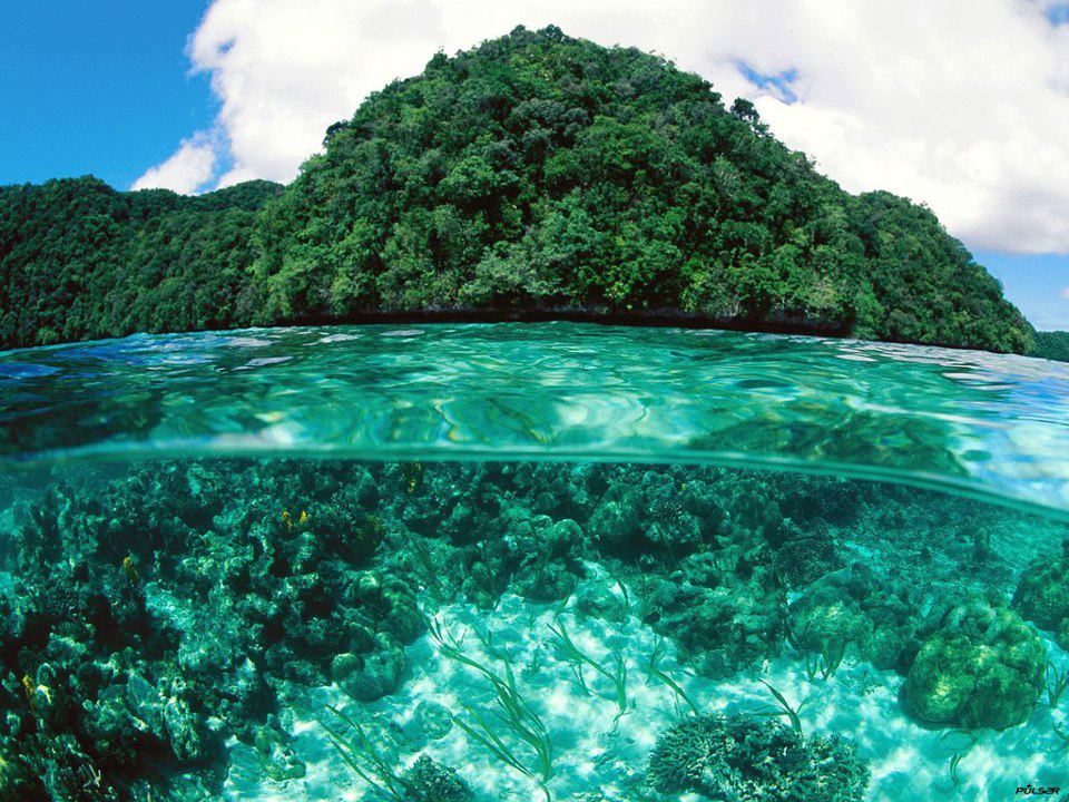 Solve beautiful nature at Palau Island jigsaw puzzle online with 63 pieces