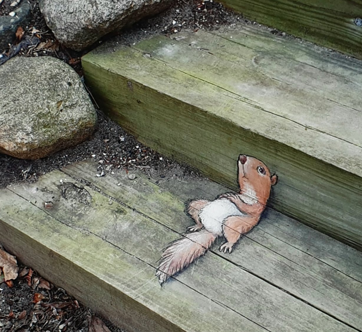 Solve Did I leave the iron turned on? ~ Why can't I wear white after Labor Day? ~ If a wood ...