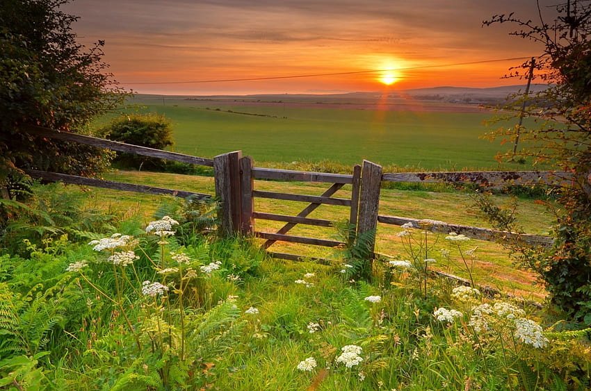 Solve Sunset over the wildflower field jigsaw puzzle online with 140 pieces