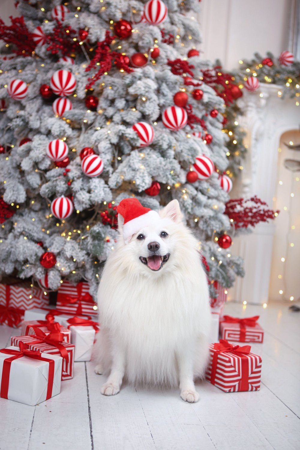 Solve yuliya-strizhkina-cartier Christmas finest! jigsaw puzzle online ...