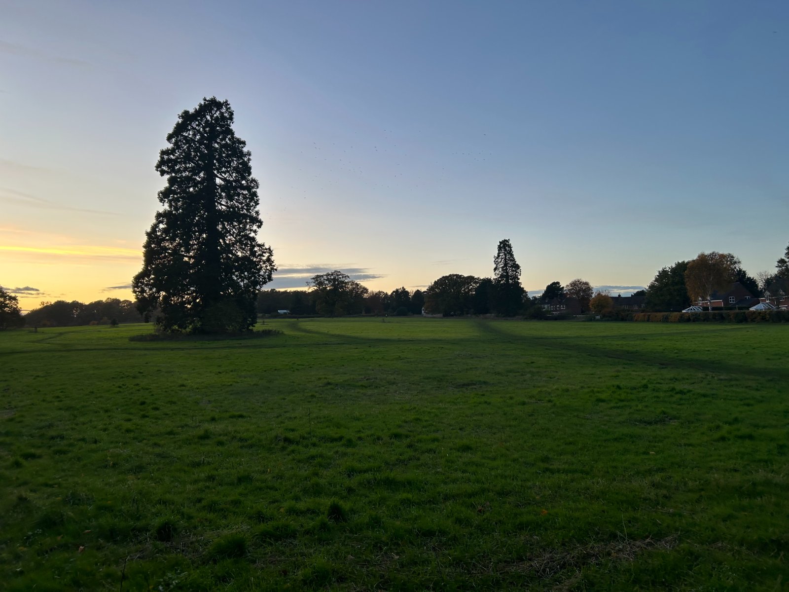 Solve Sunset View at Catton Park in Norwich jigsaw puzzle online with ...