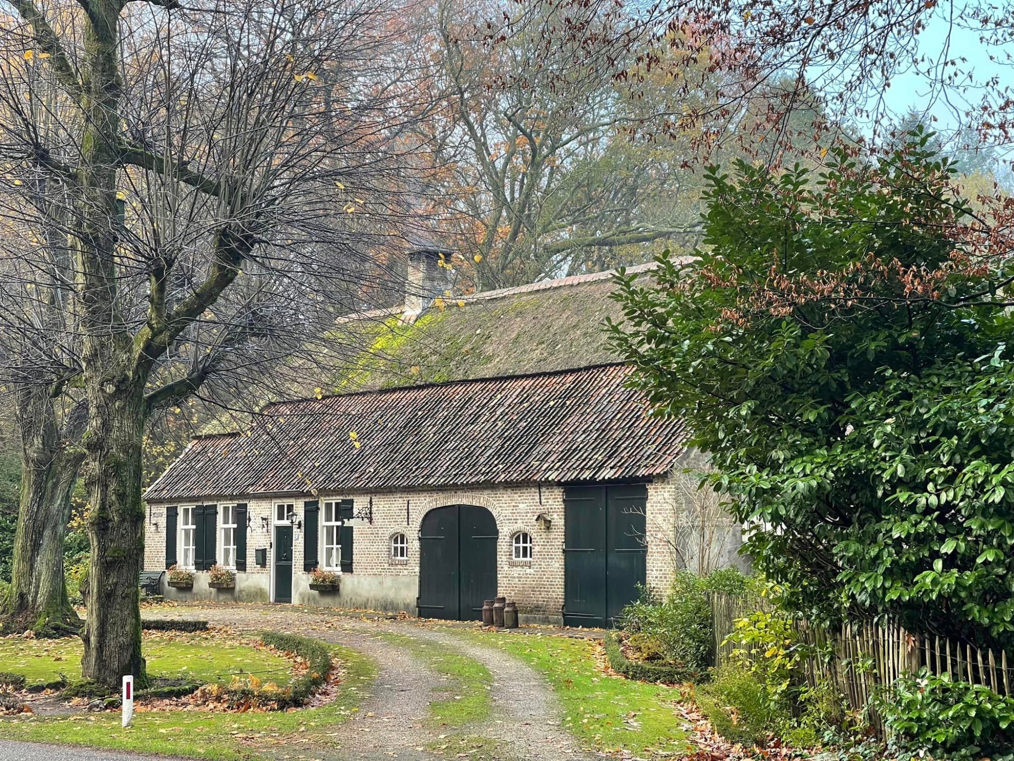 Solve woning in het bos jigsaw puzzle online with 252 pieces