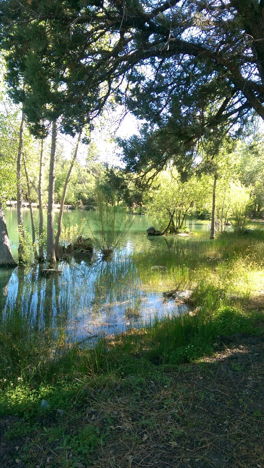 Solve Pine Lakes, Prescott, AZ jigsaw puzzle online with 40 pieces