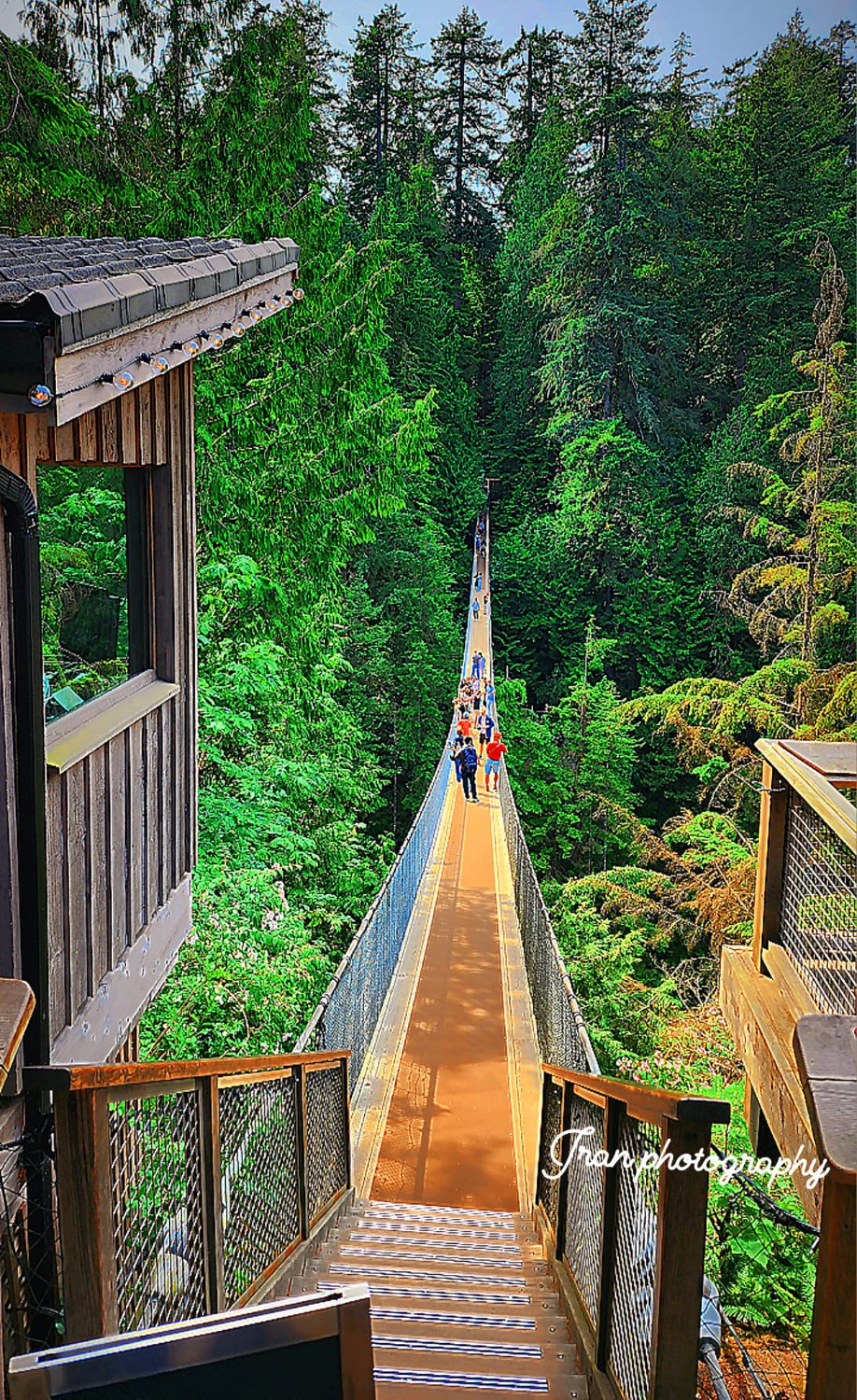 Solve Capilano Suspension Bridge jigsaw puzzle online with 40 pieces