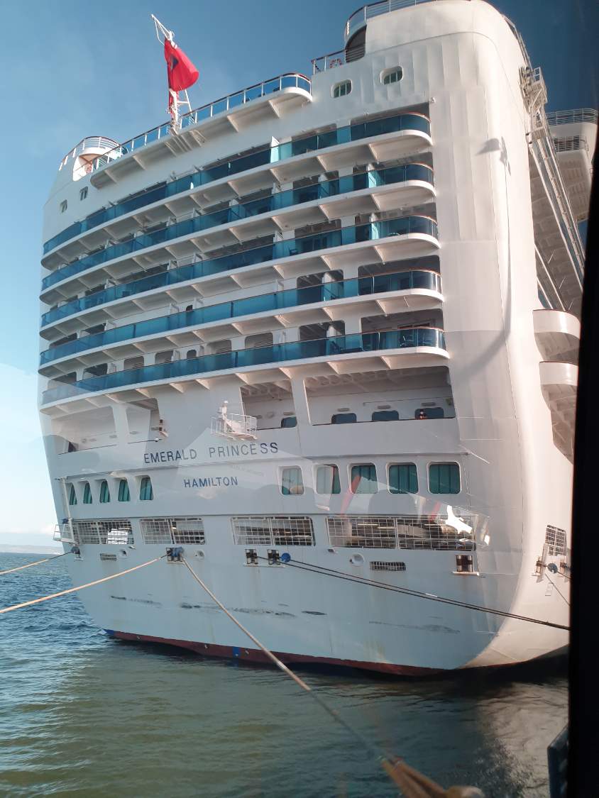 Solve EMERALD PRINCESS AFT jigsaw puzzle online with 30 pieces