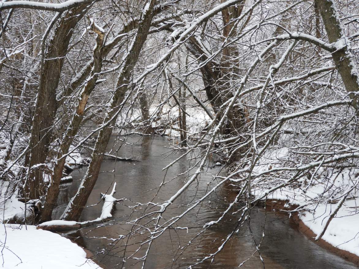 Puzzel | 20 stukjes | A spring-fed stream that doesn't freeze | Jigidi