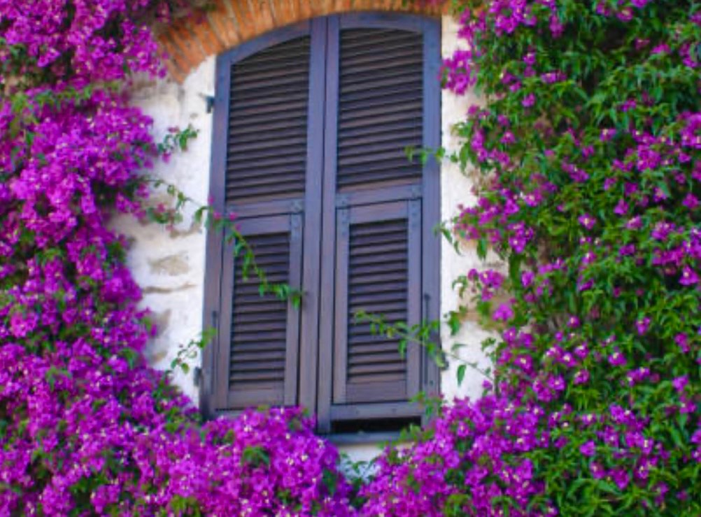 Solve A floral window frame jigsaw puzzle online with 130 pieces