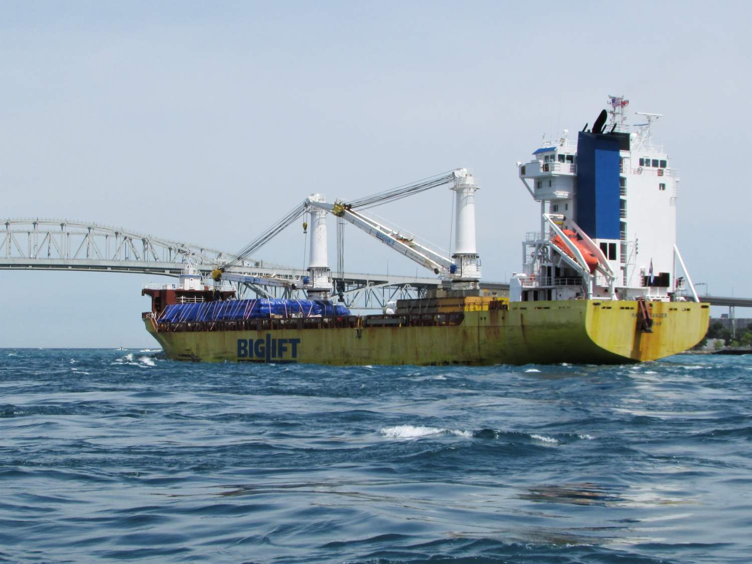 Solve Happy Ranger (2020) jigsaw puzzle online with 99 pieces