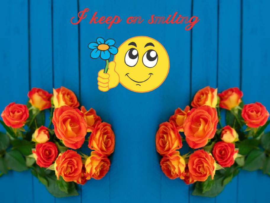 Solve I keep on smiling jigsaw puzzle online with 12 pieces